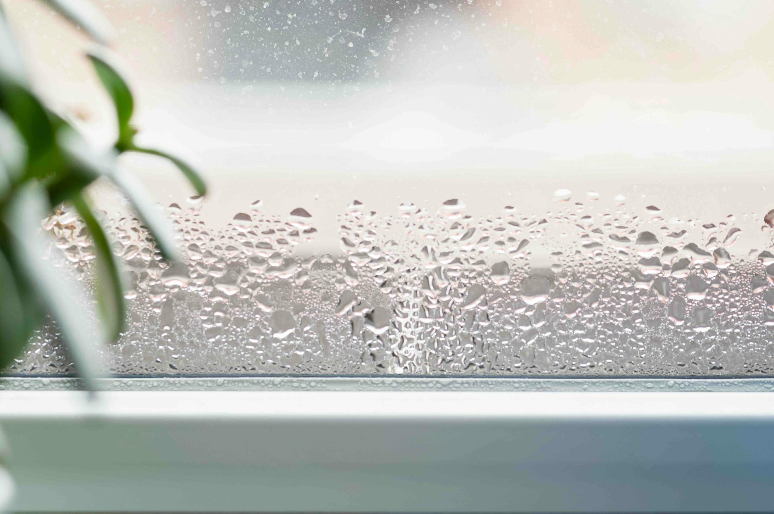 Doppelt Verglaste Fenster Beschlagen Innen
